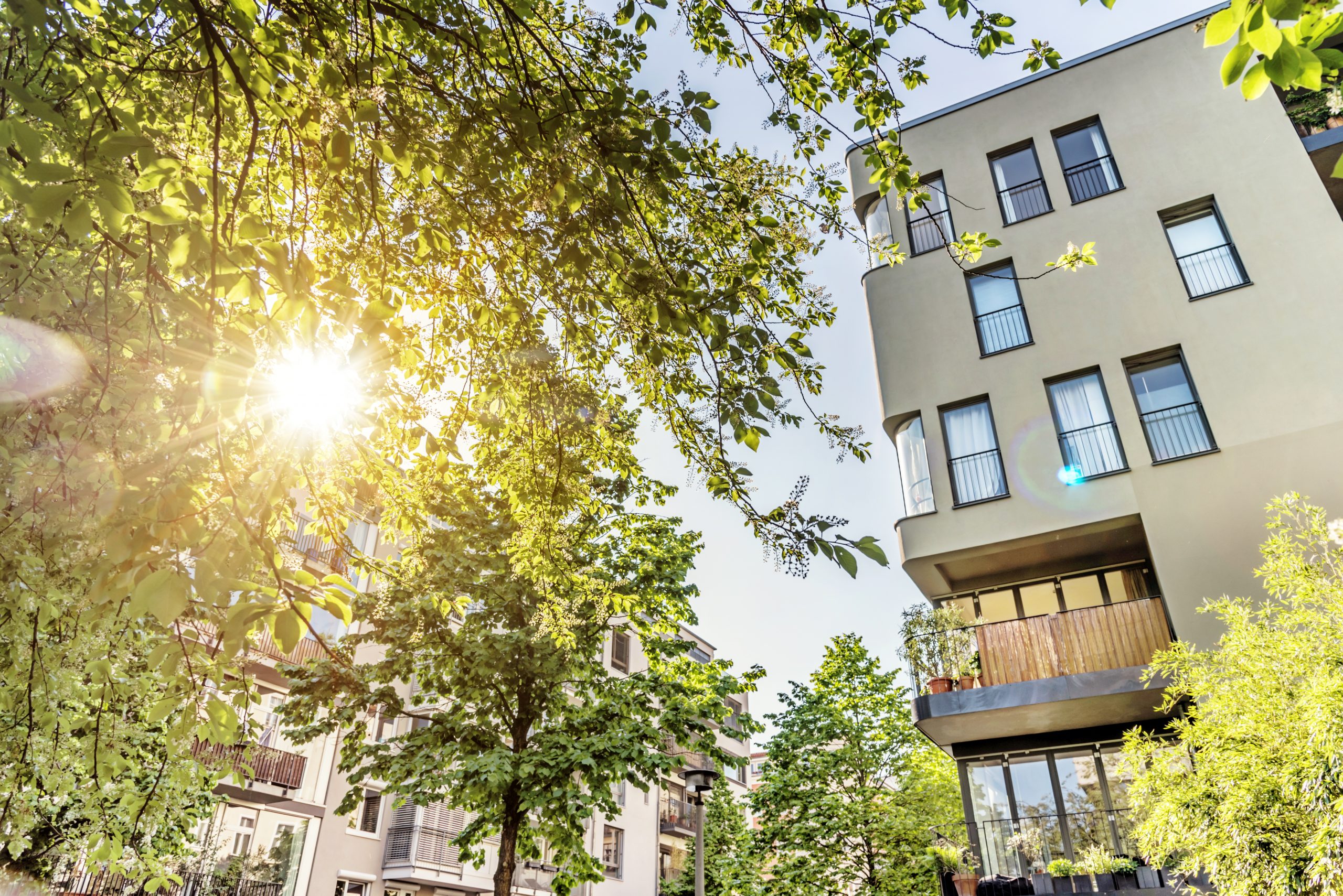 HEADER IMAGE - WINconnect